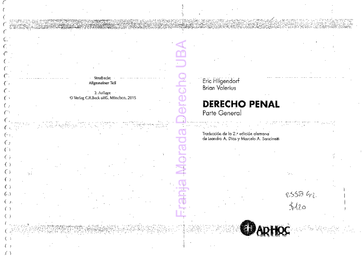 Derecho Penal Parte General - Eric Hilgendorf y Brian Valerius (UBA ...