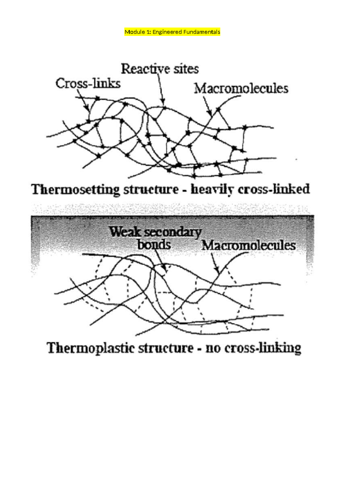 Engineering Notes: Structure & Material Fundamentals (ENGR 101) - Studocu