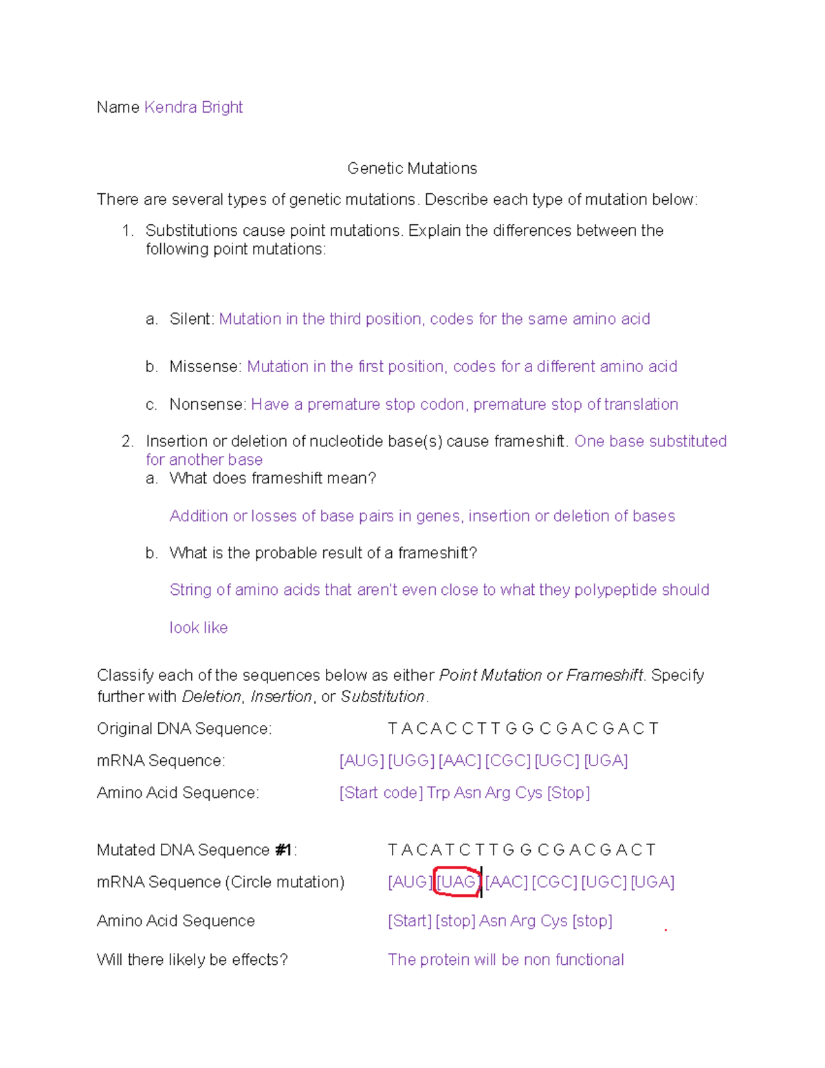Genetic Mutation Types Worksheet: Point vs. Frameshift Analysis - Studocu