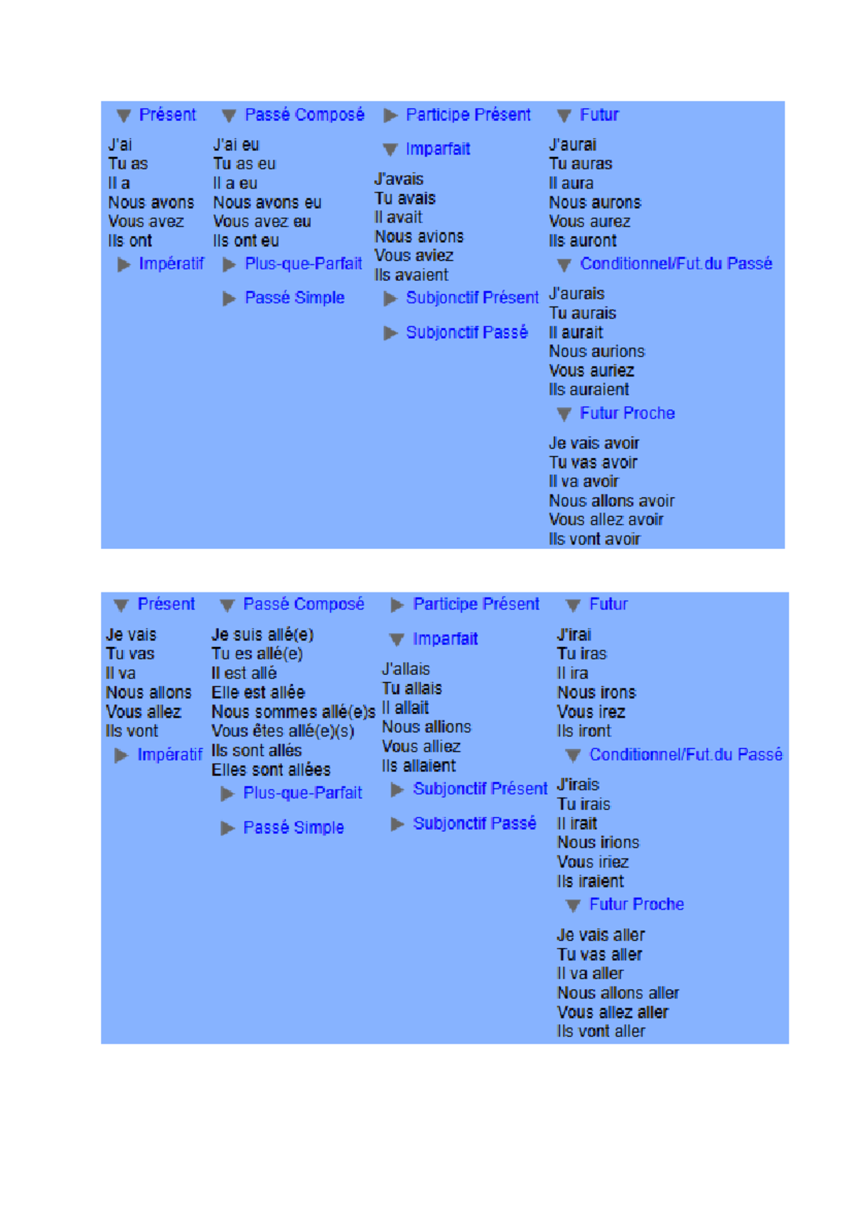 Frans WW Vervoeging: Présent, Passé Composé, Futur, Imparfait - Studeersnel