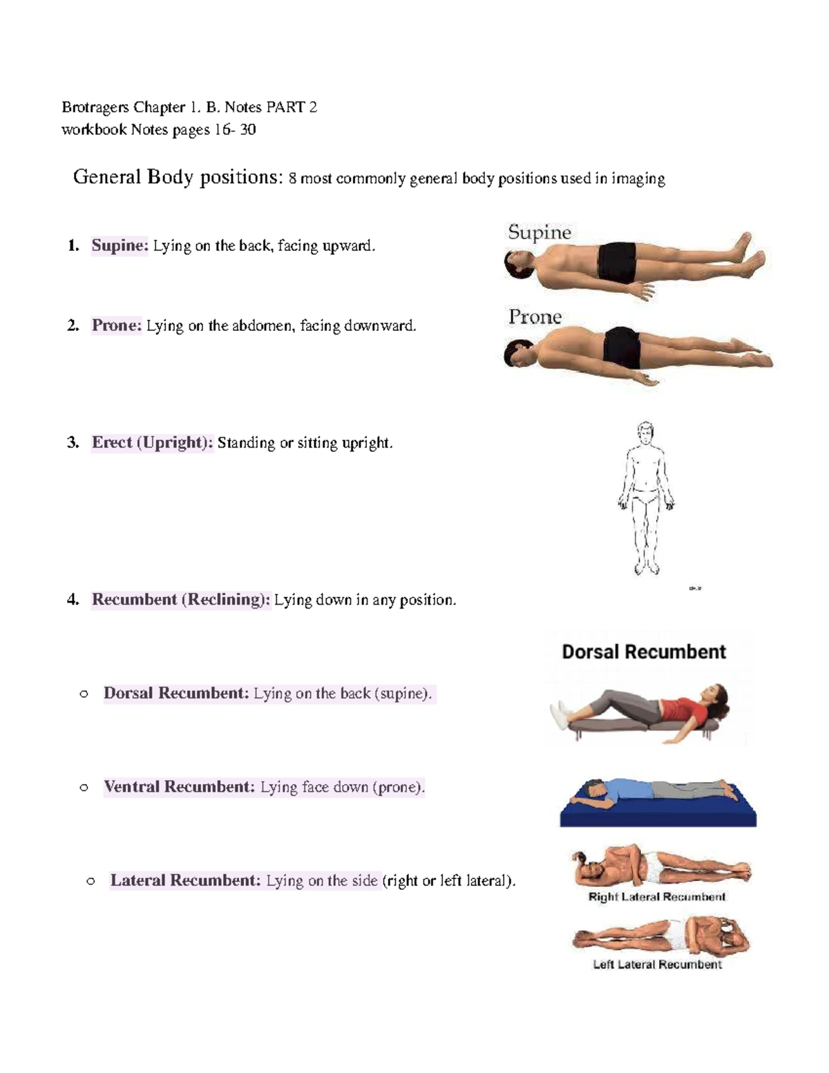 Radiographic Positioning Terminology & Techniques Notes: CH 1B - Studocu