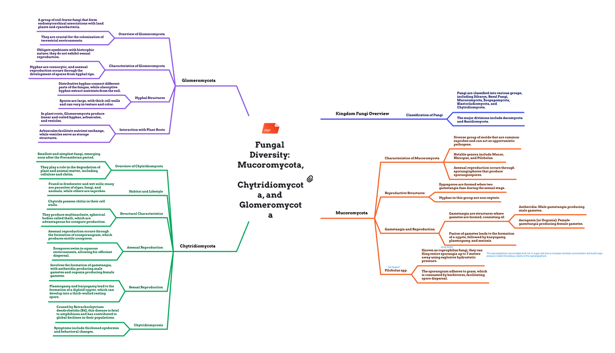 SU 5B - mind maps - Fungal Diversity: Mucoromycota, Chytridiomycot a ...
