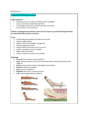 Mft model charts - Major Marriage and Family Therapy Models Developed ...