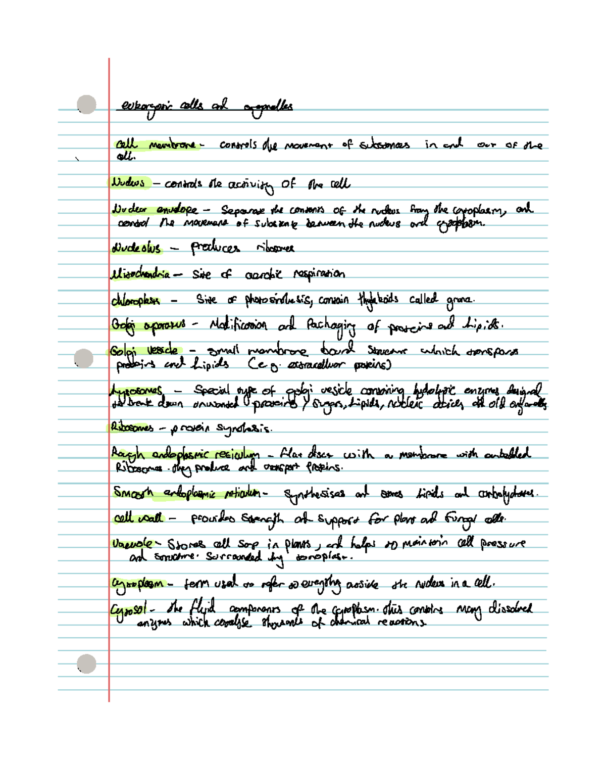 Cell Organelles Overview - Notes on Eukaryotic Cells - Studocu