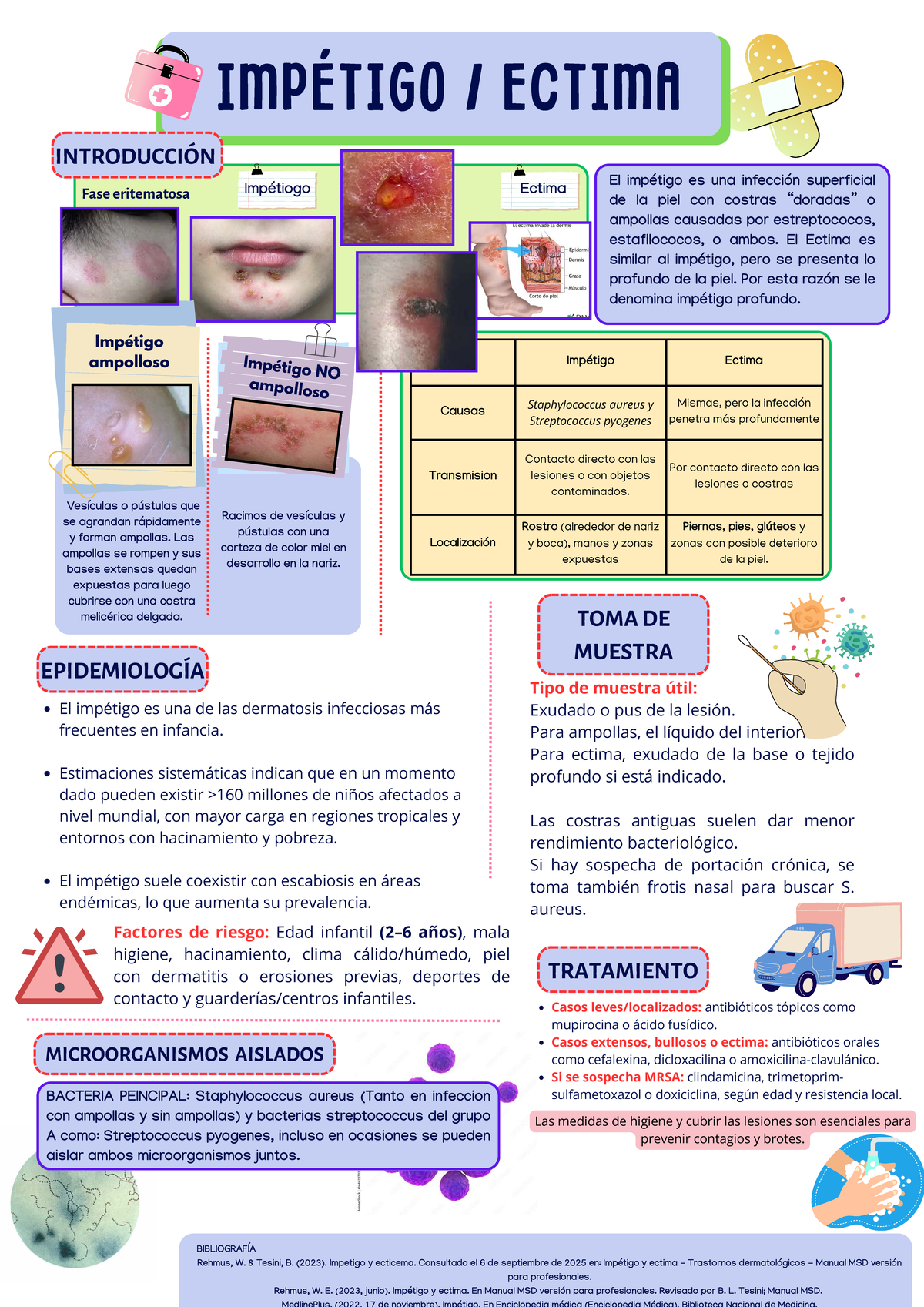 Impetigo y Ectima - Resumen y Tratamiento (MED 101) - Studocu