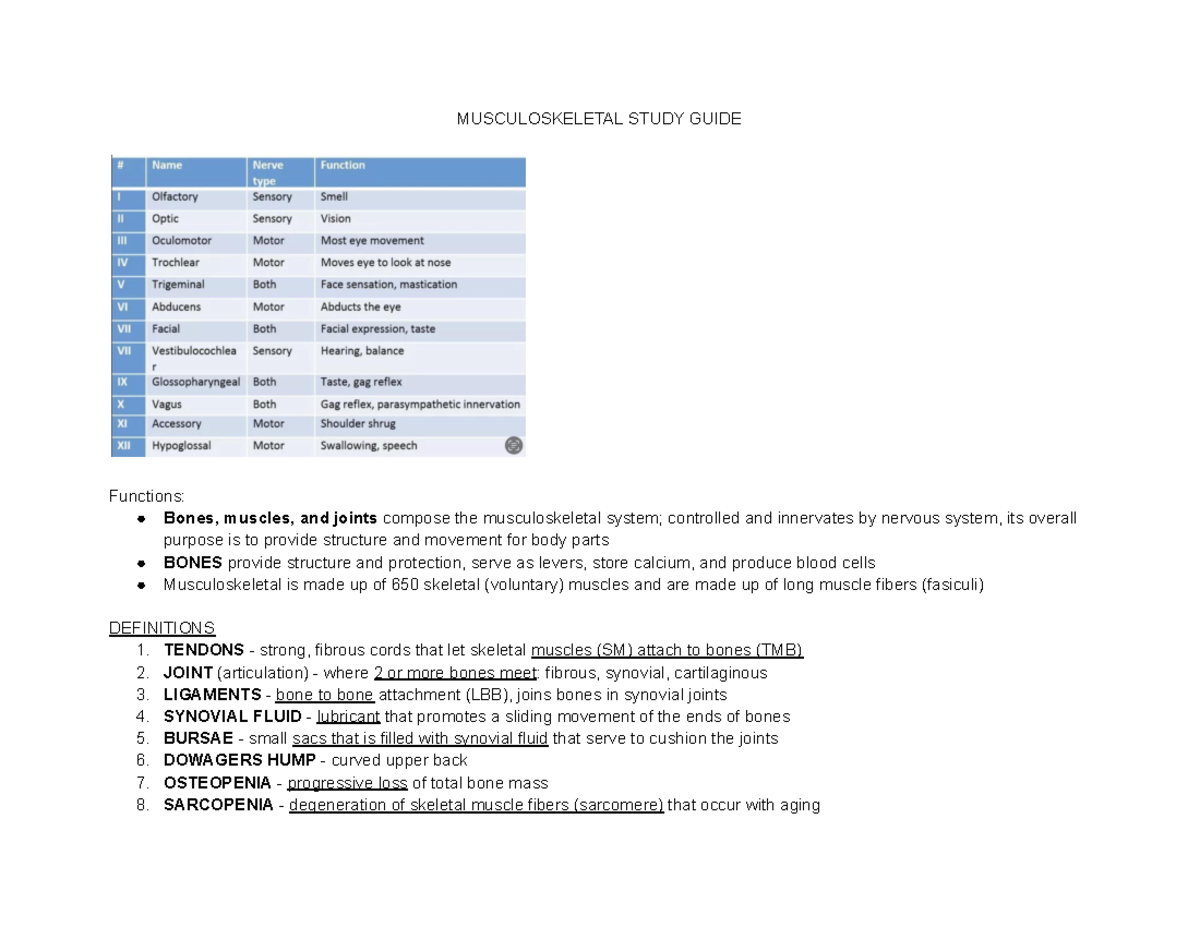Musculoskeletal Study Guide - MUSCULOSKELETAL STUDY GUIDE Functions ...