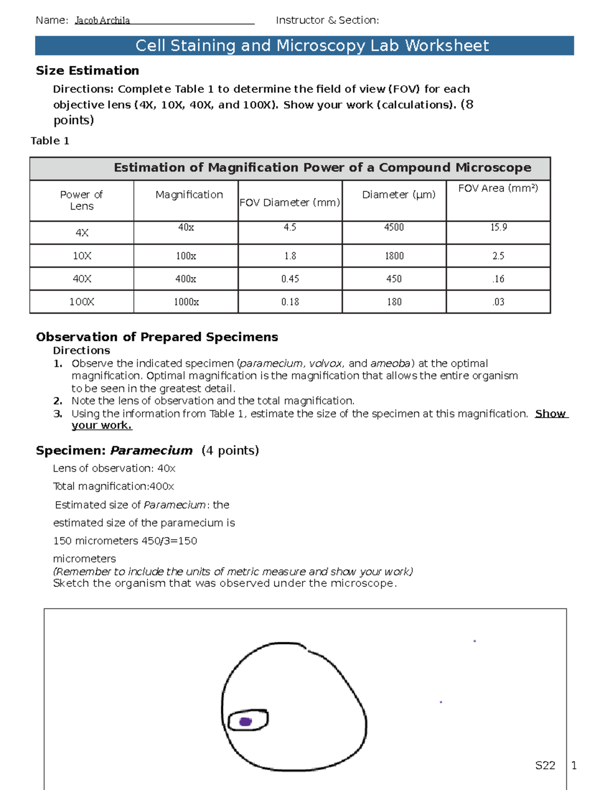 Cell staining microscopy worksheet - Size Estimation Directions ...