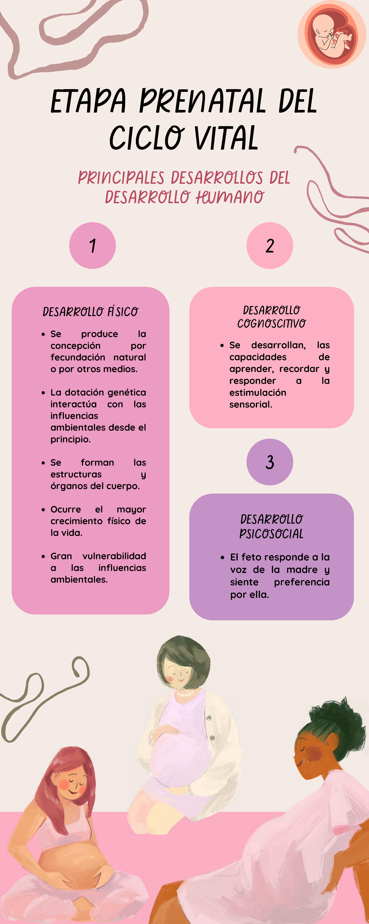 Folleto ciclo prenatal (2) - PRINCIPALES DESARROLLOS DEL DESARROLLO ...