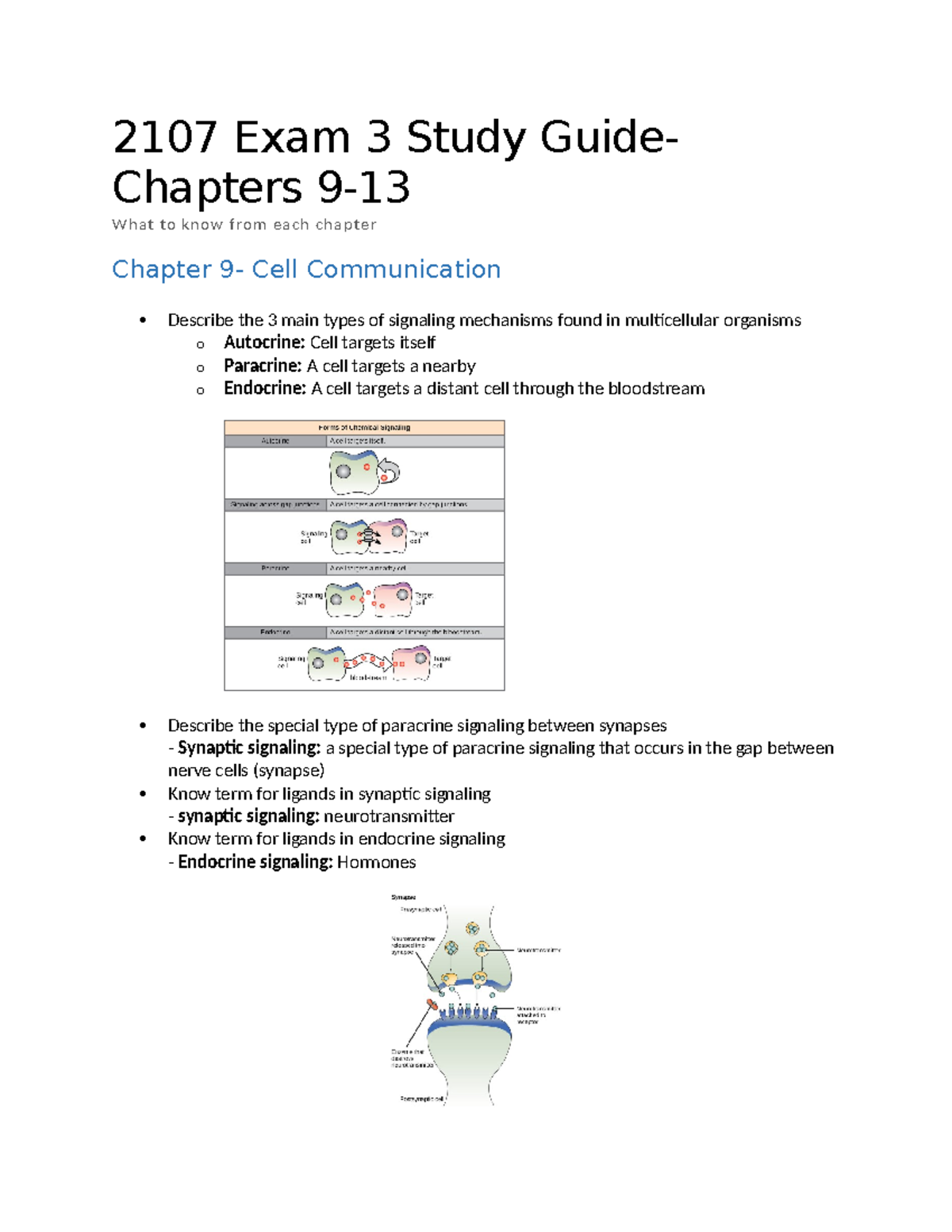 Chapter 9-13 Exam Review Guide: Cell Cycle, Meiosis, and Genetics ...