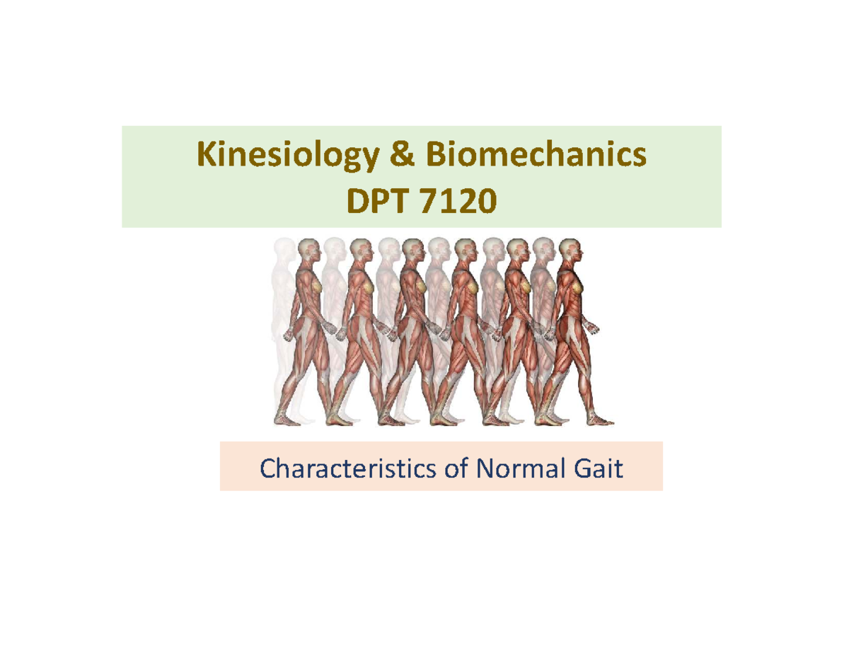 Characteristics of Normal Gait - DPT 7120 Lecture Notes - Studocu