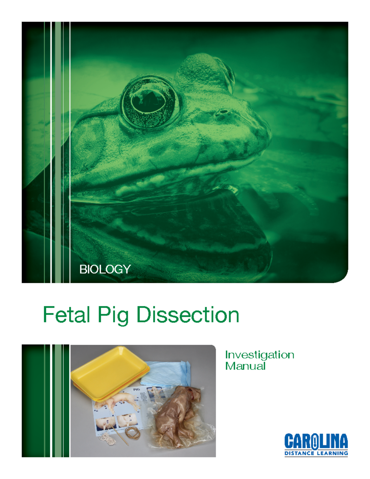 Fetal Pig Dissection Guidelines - BIO 101 Lab Manual - Studocu