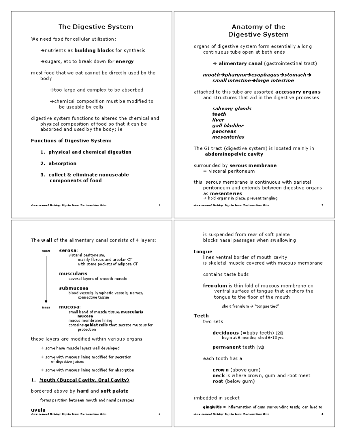 M.Digestive System - Human Anatomy & Physiology: Digestive System ...