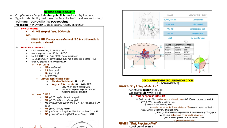 ECG Fundamentals and Nursing Role in Cardiac Monitoring (NUR 101) - Studocu