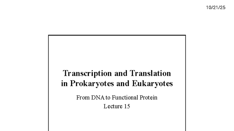 Transcription and Translation in Prokaryotes & Eukaryotes - Lecture 15 ...