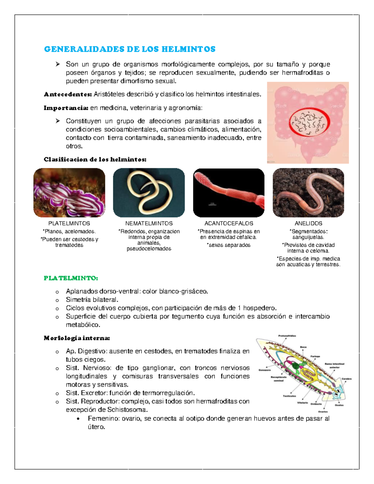 Generalidades de helmintos: Clasificación y morfología de especies ...