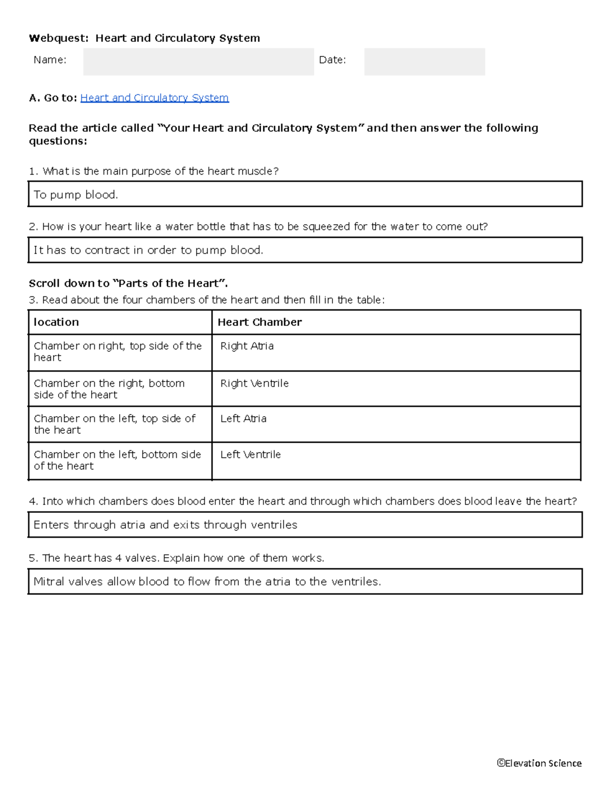 Heart & Circulatory System Webquest - Study Guide & Quiz - Studocu