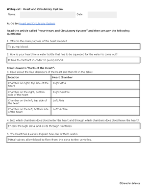 Skeletal Labeling worksheet - Skeletal System - Labeling Activity ...