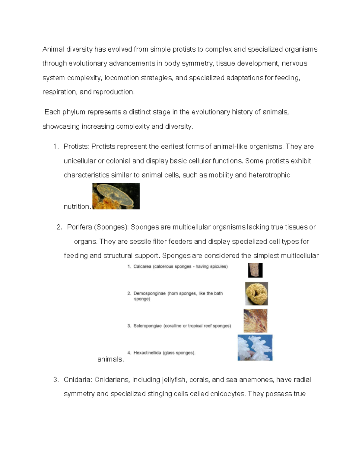Bio112 - Summary of Animal Diversity for Test Prep and Exams - Studocu