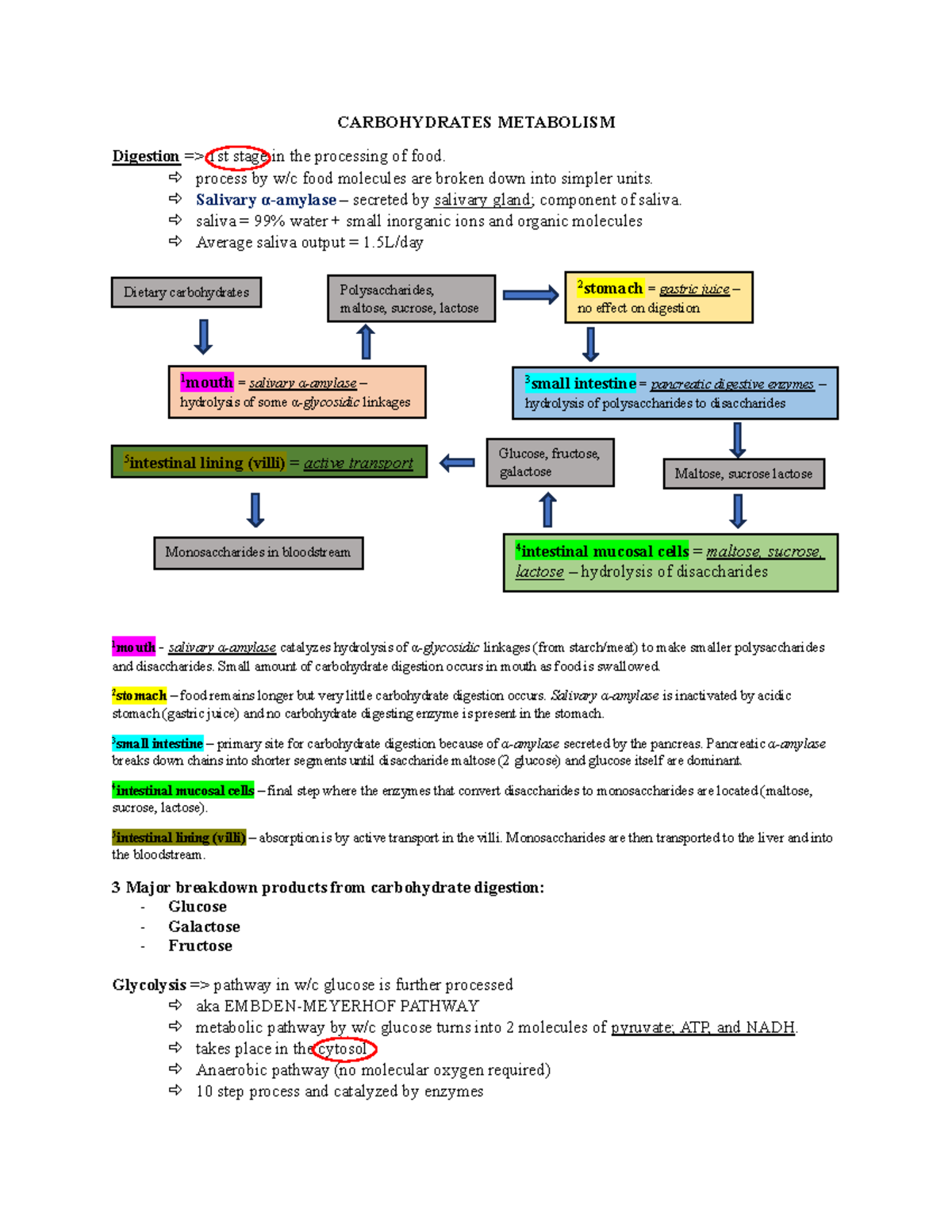 Handouts for Carbo met Lipids and Lipids met - CARBOHYDRATES METABOLISM ...