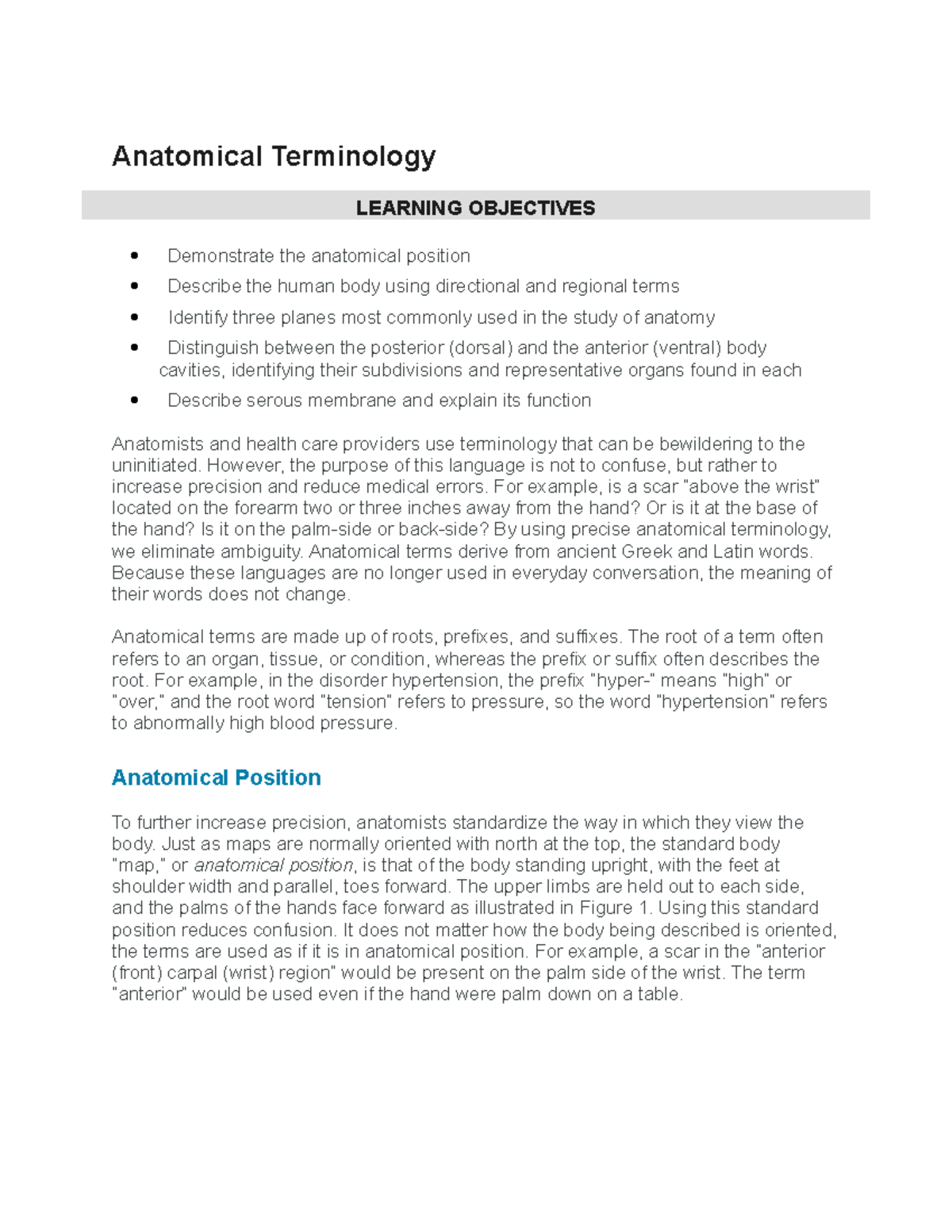 Lesson . Anatomical Terminology - Anatomical Terminology LEARNING ...