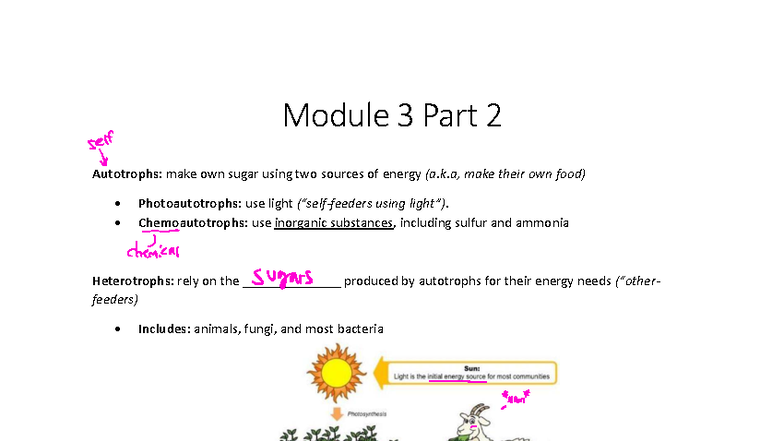 Module 3 Part 2: Photosynthesis and Energy Production in Autotrophs ...