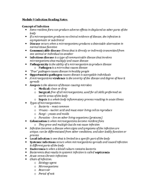 Subjective vs Objective Assessment Findings - Subjective vs. Objective ...