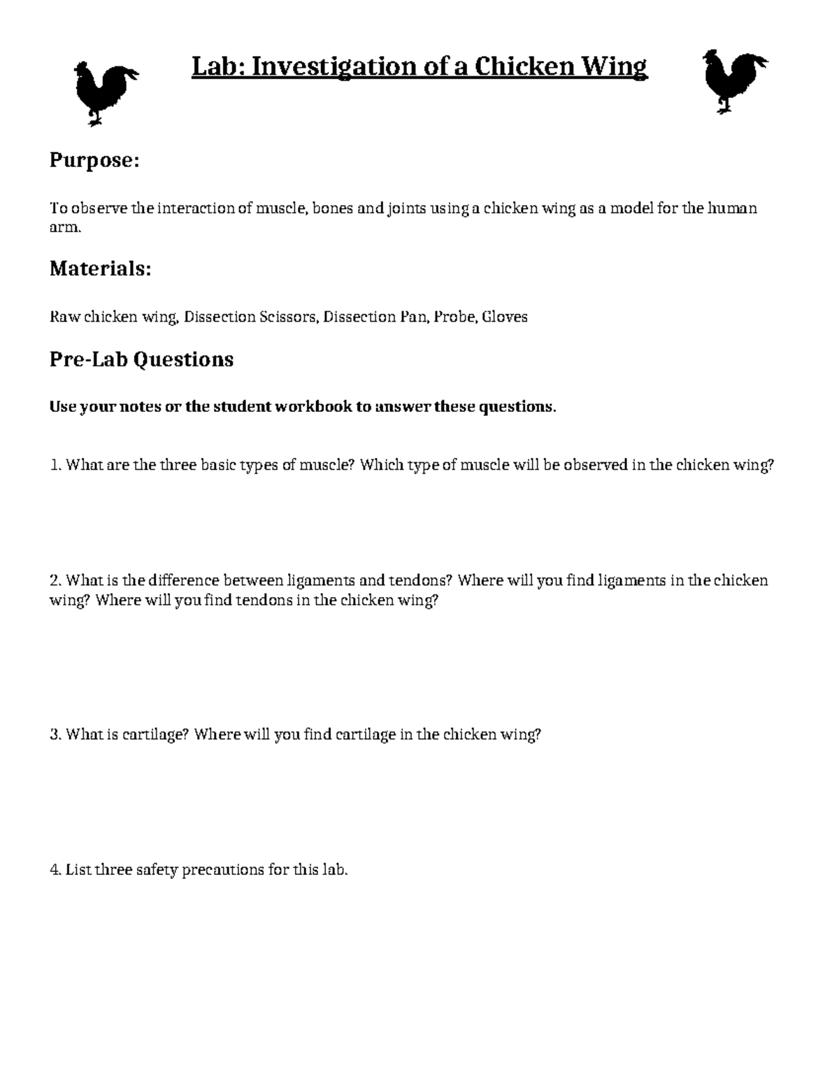 CHS 101: Chicken Wing Dissection Lab Report and Observations - Studocu
