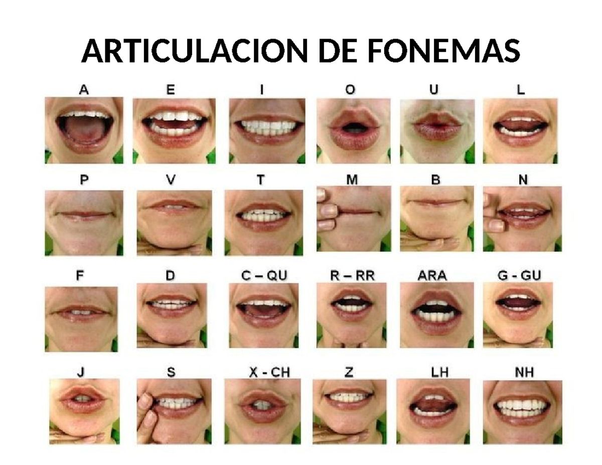 Articulacion Fonema - lenguaje - ARTICULACION DE FONEMAS A E I o U L P ...