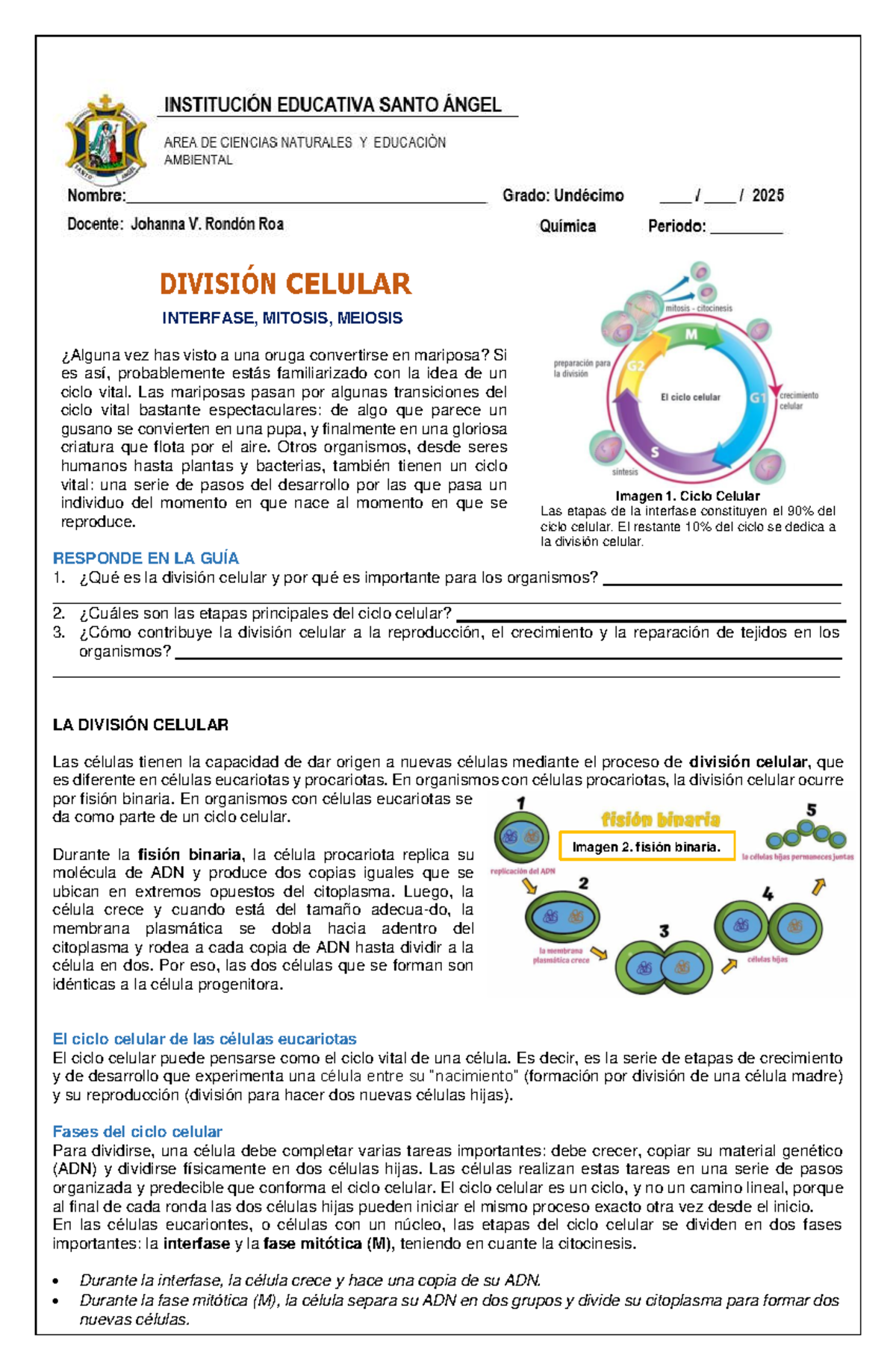 GUÍA 2: DIVISIÓN CELULAR - INTERFASE, MITOSIS Y MEIOSIS - Studocu