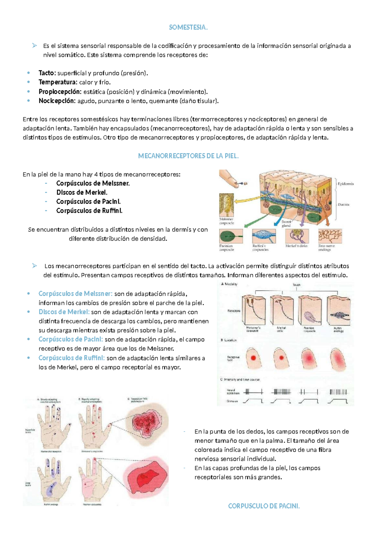 SOMESTESIA Y DOLOR: PROCESAMIENTO Y MECANISMOS SENSORIALES - Studocu