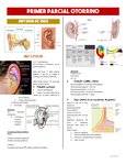 Otorrinolaringología: Introducción y bases - Otorrinolaringología - UAA ...