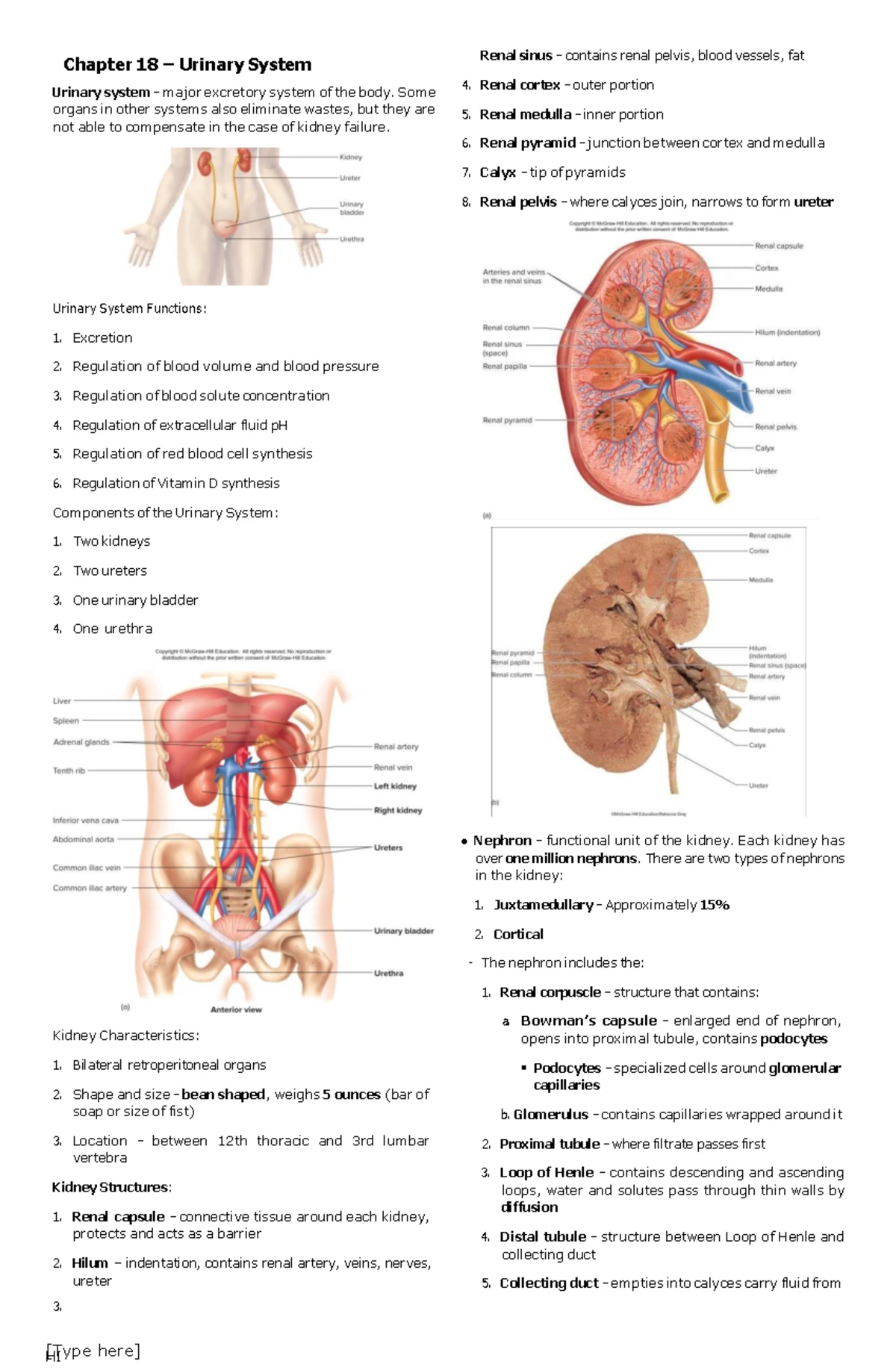 Max's Maximum A Case Study on the Urinary Systems - Urinary System Case Study Higher ...