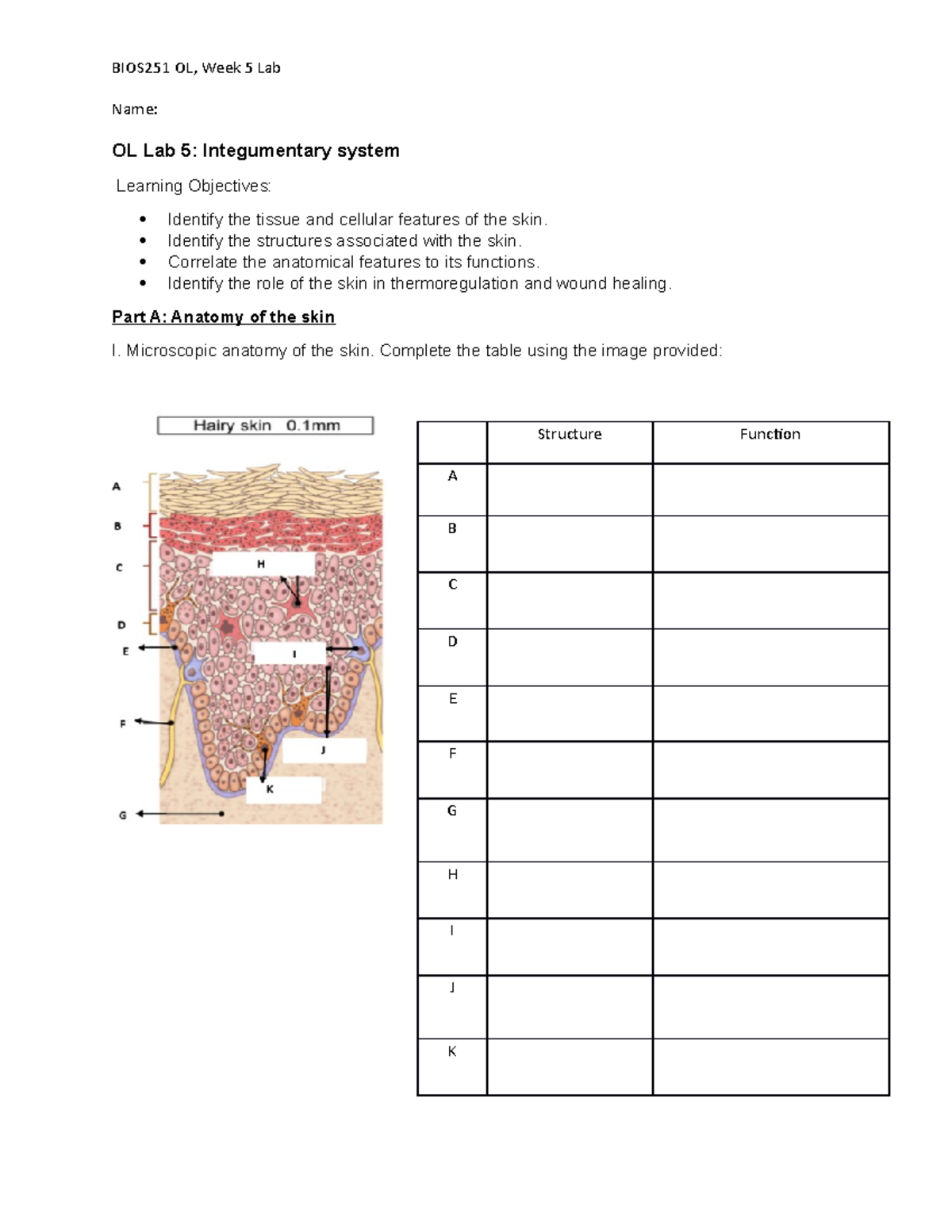 Final LABS BIOS251 Online Lab Week 5: Integumentary System Overview ...