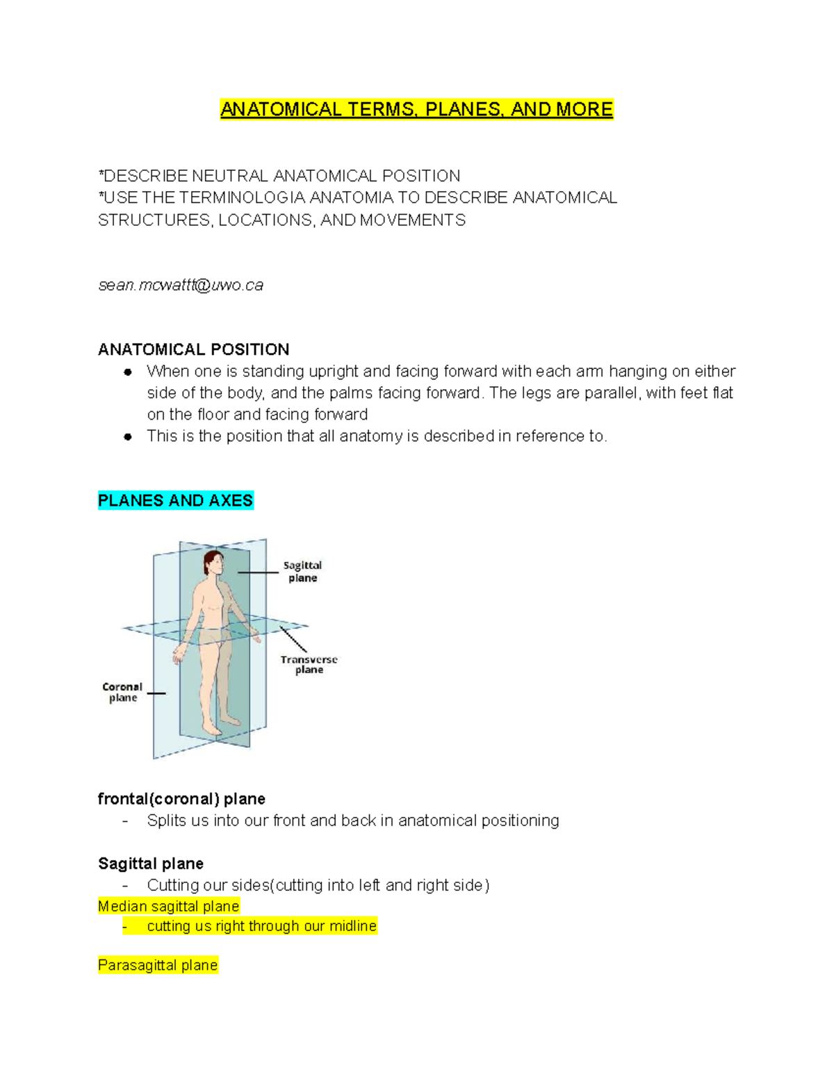 KIN 1060 LEC Notes: Anatomical Terms and Planes Overview - Studocu