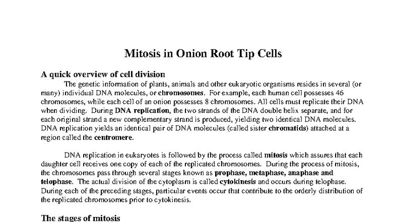 Onion Root Tip Mitosis: A Comprehensive Overview of Cell Division - Studocu