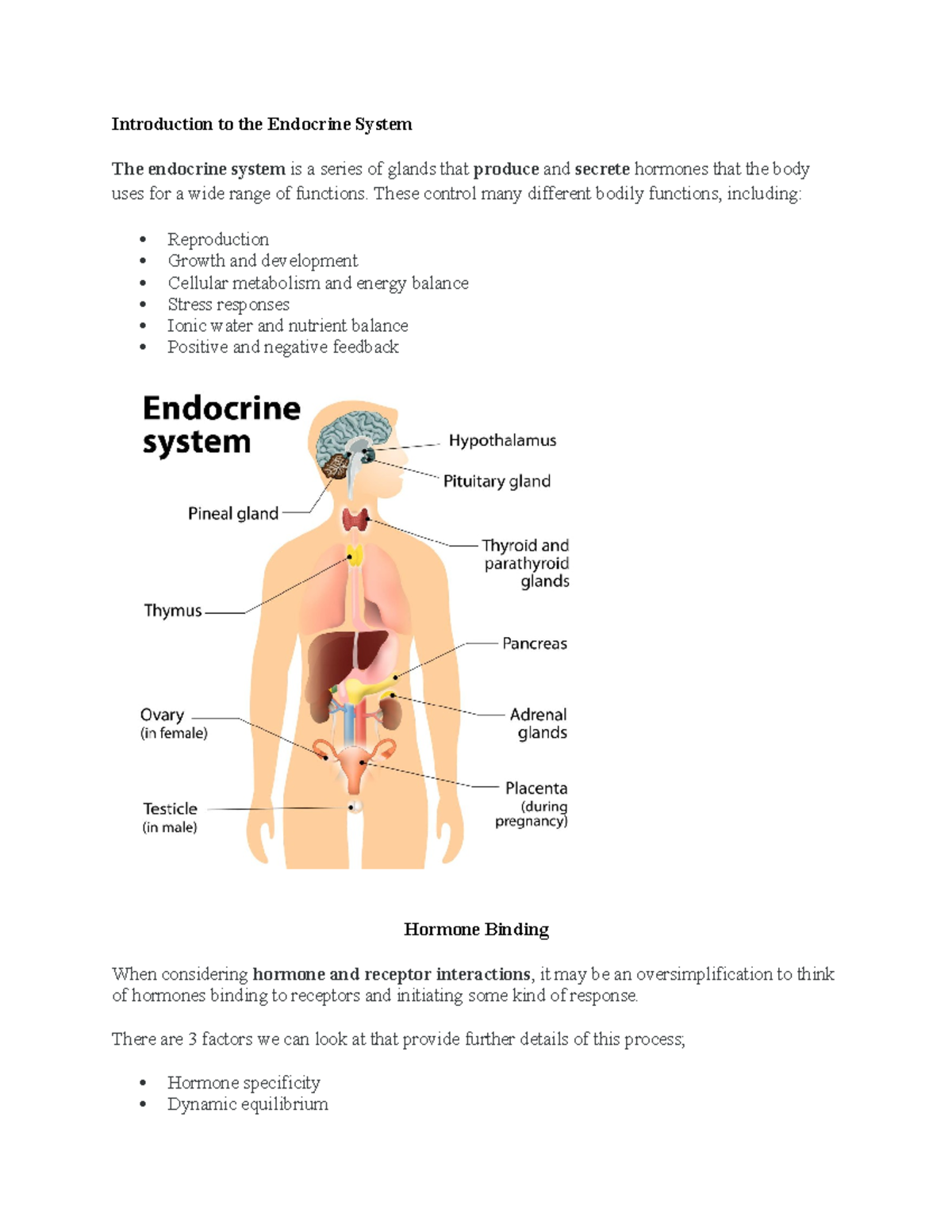Endocrine System Overview: Week 1 Theory Notes (BIO 101) - Studocu