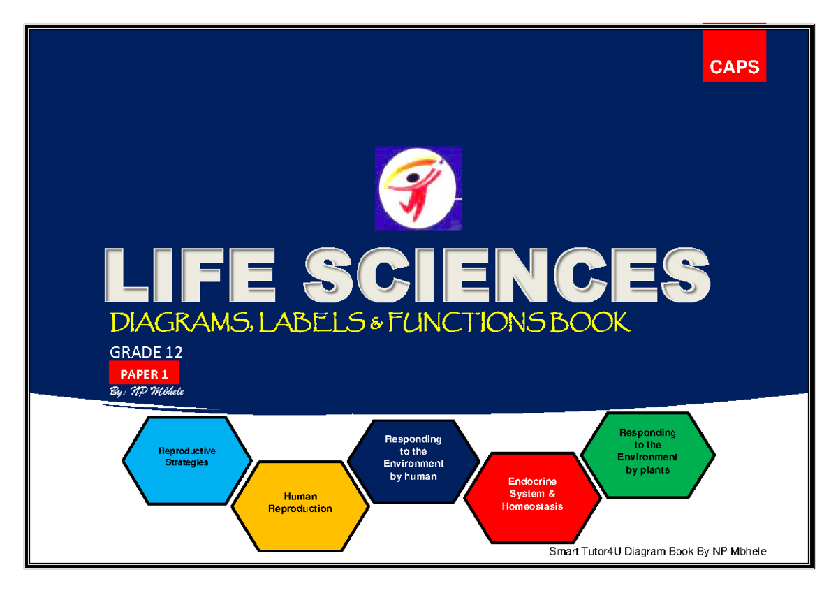 Grade 12 Life Sciences P1 Diagrams, Labels & Functions Guide - Studocu
