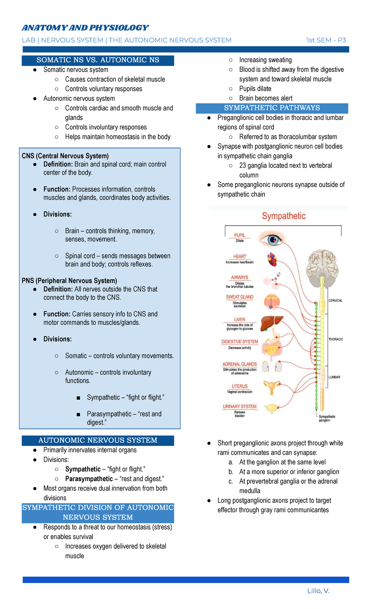 HES006 Anatomy & Physiology Lab: Autonomic Nervous System Overview ...