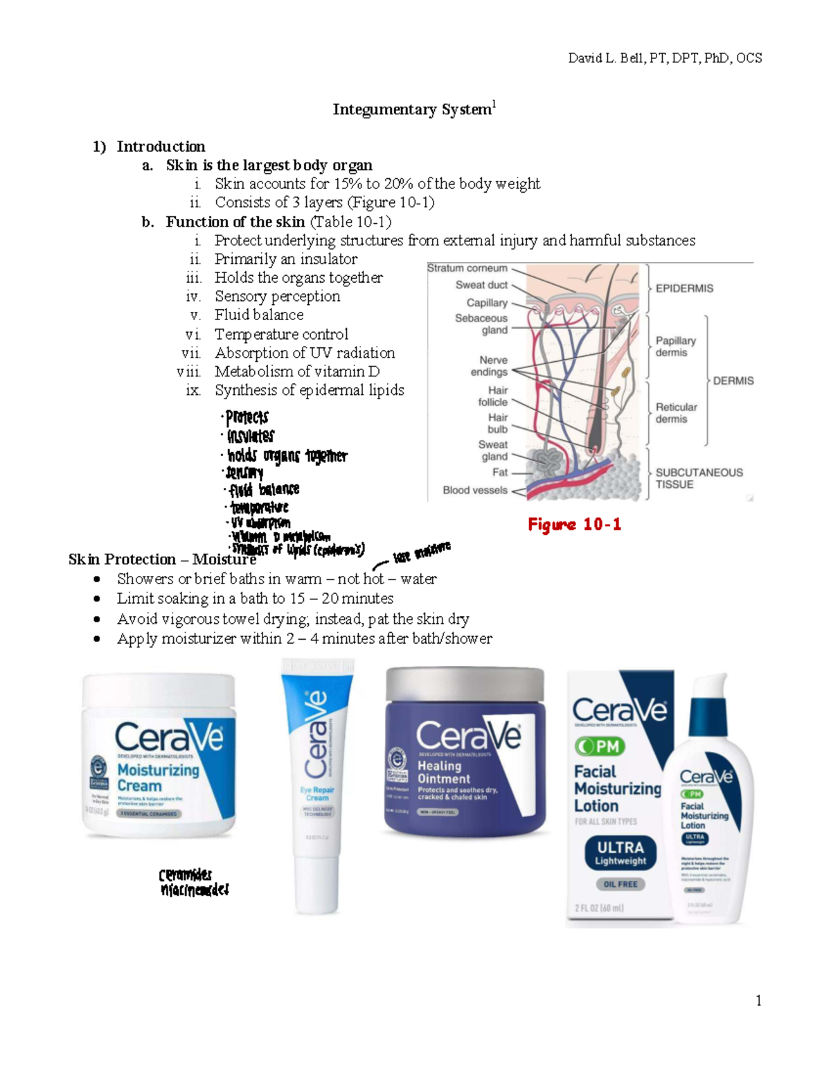 Clinical Insights on Integumentary System Conditions (PT 101) - Studocu