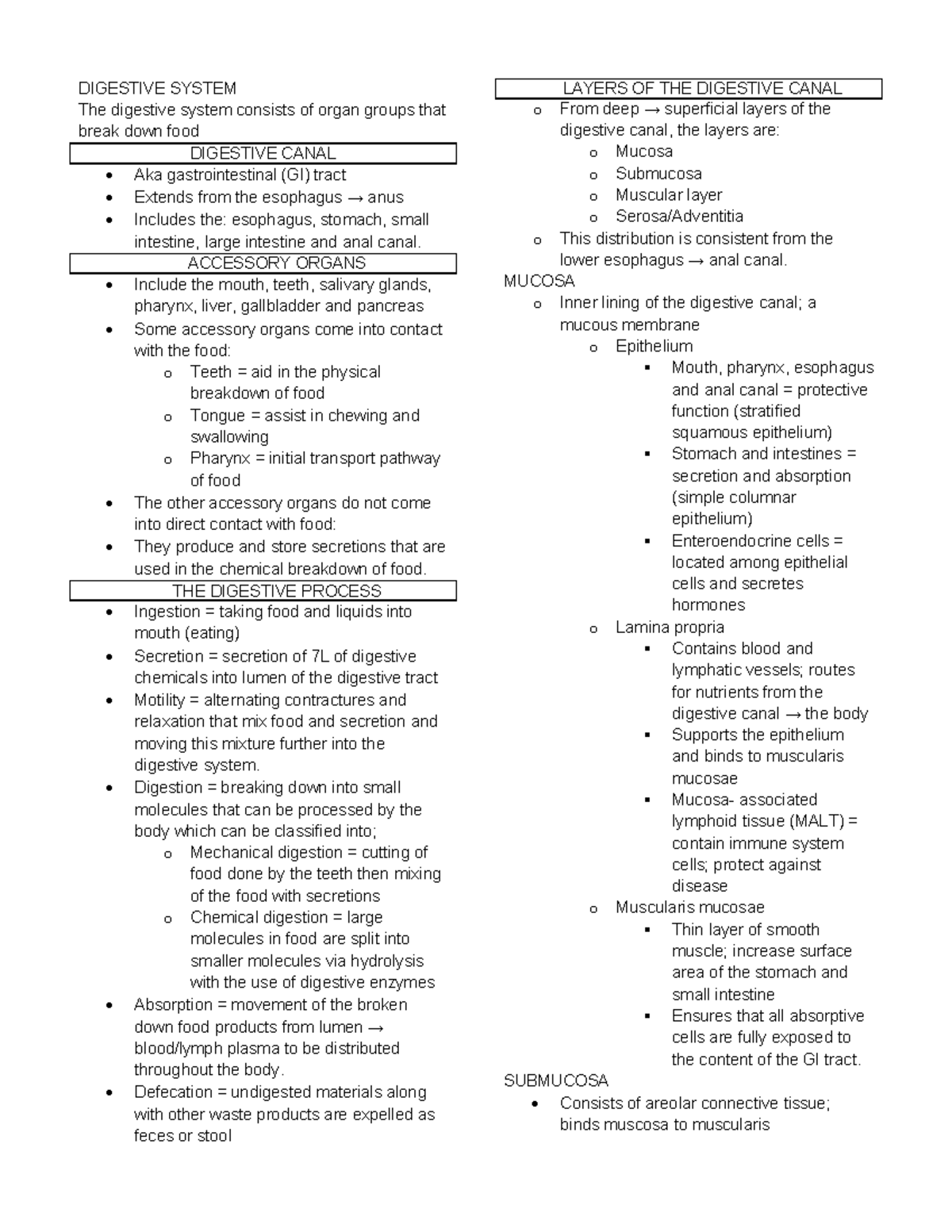 PT Anaphy Digestive System Overview and Functions - Studocu