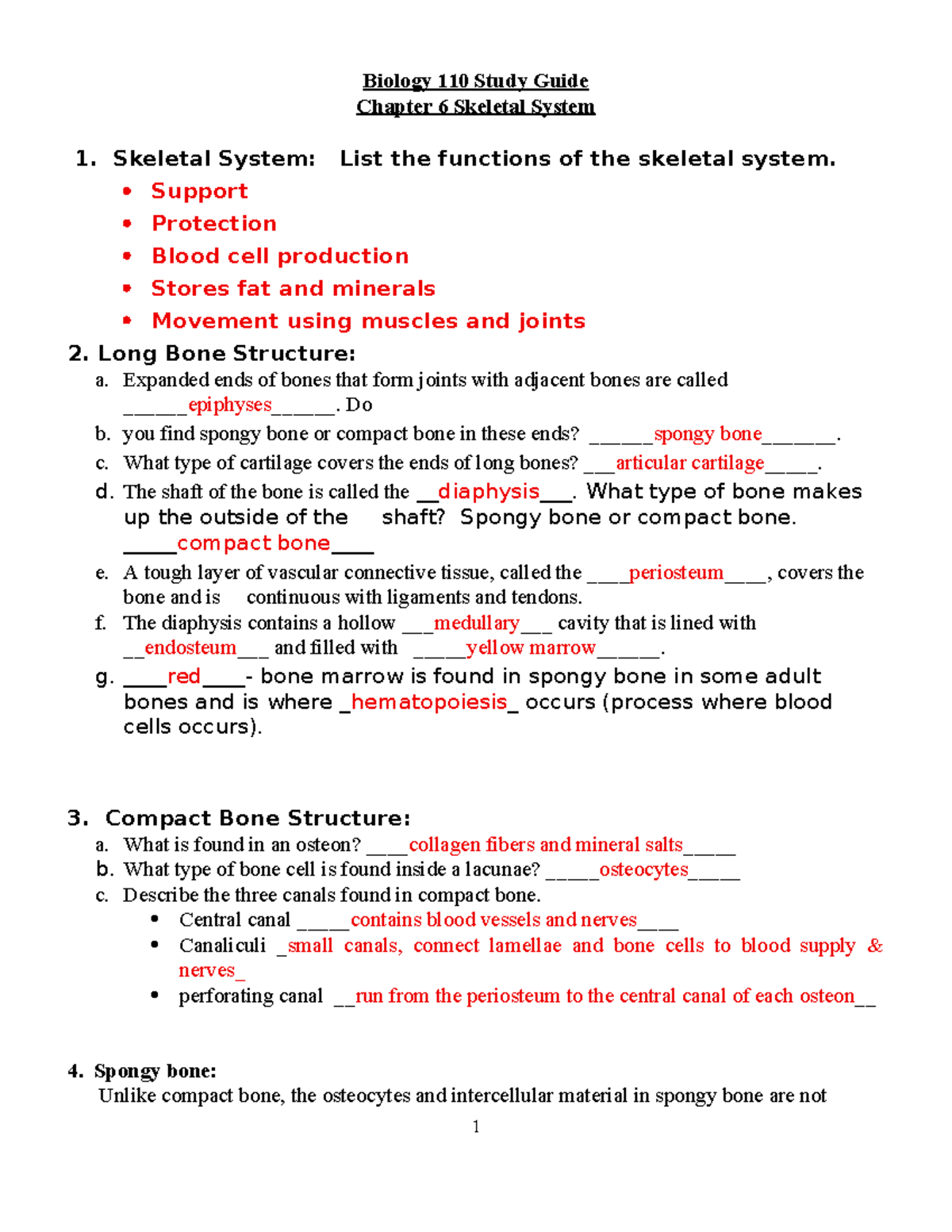 Biology 110 Study Guide: Chapter 6 - Skeletal System Overview - Studocu