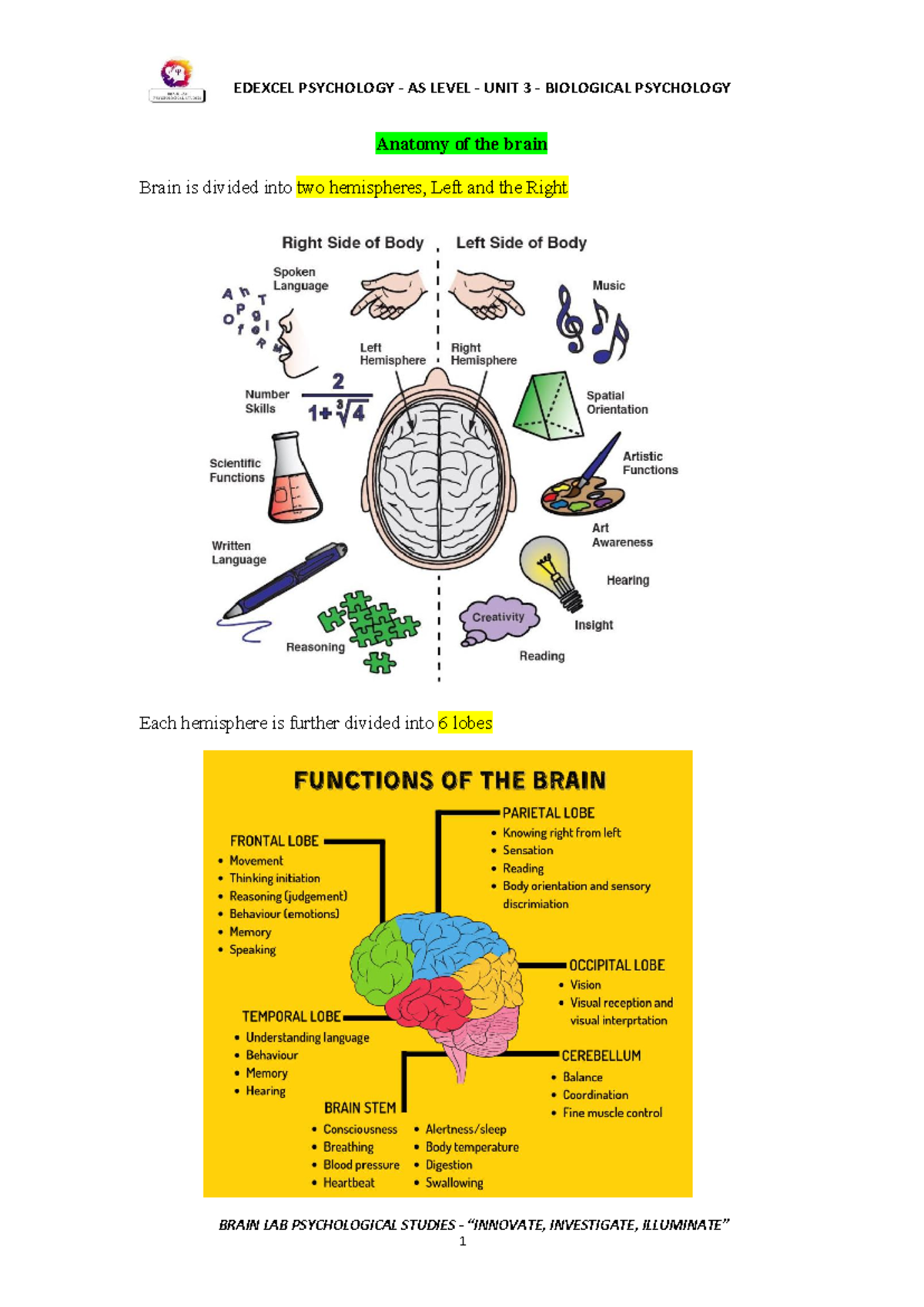 EDEXCEL PSYCHOLOGY AS LEVEL UNIT 3 BIOLOGICAL PSYCHOLOGY Notes - Studocu