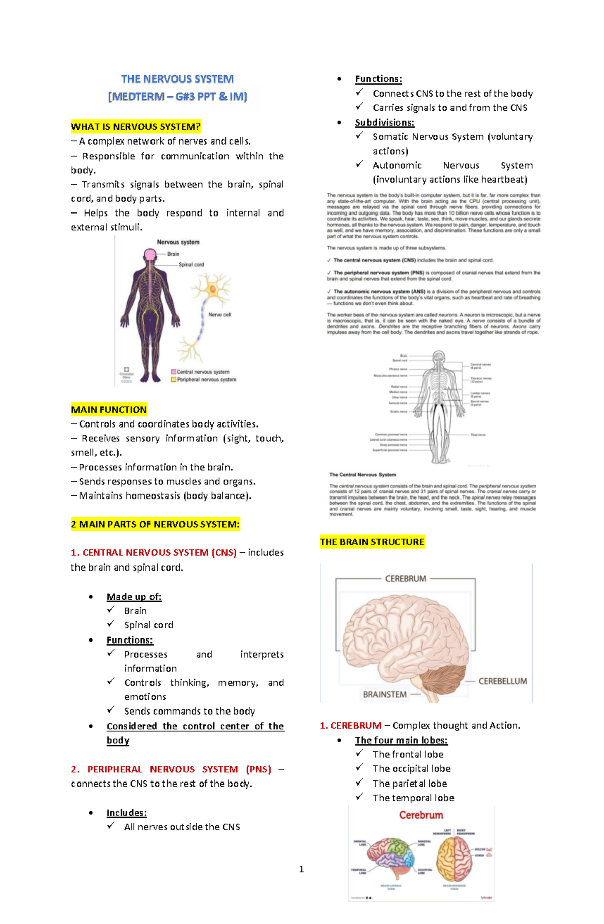 Nervous System Overview - Lecture Notes for IM 101 - Studocu