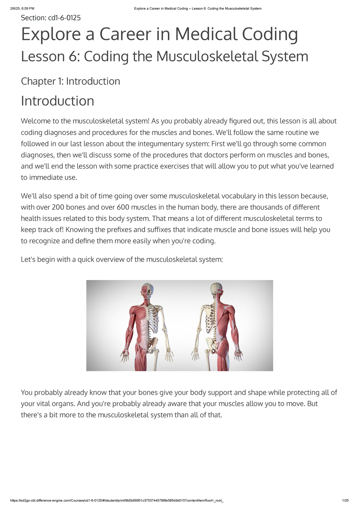 Explore a Career in Medical Coding - Lesson 6: Musculoskeletal System ...