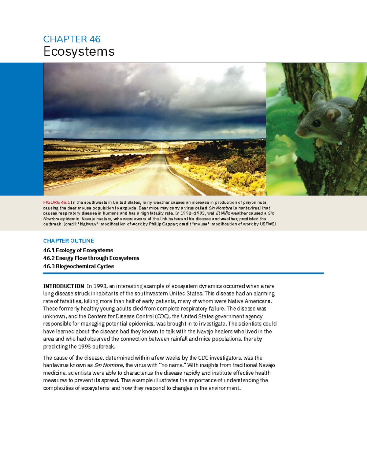 Biology 2e: Chapter 46 - Ecosystems and Energy Flow Dynamics - Studocu