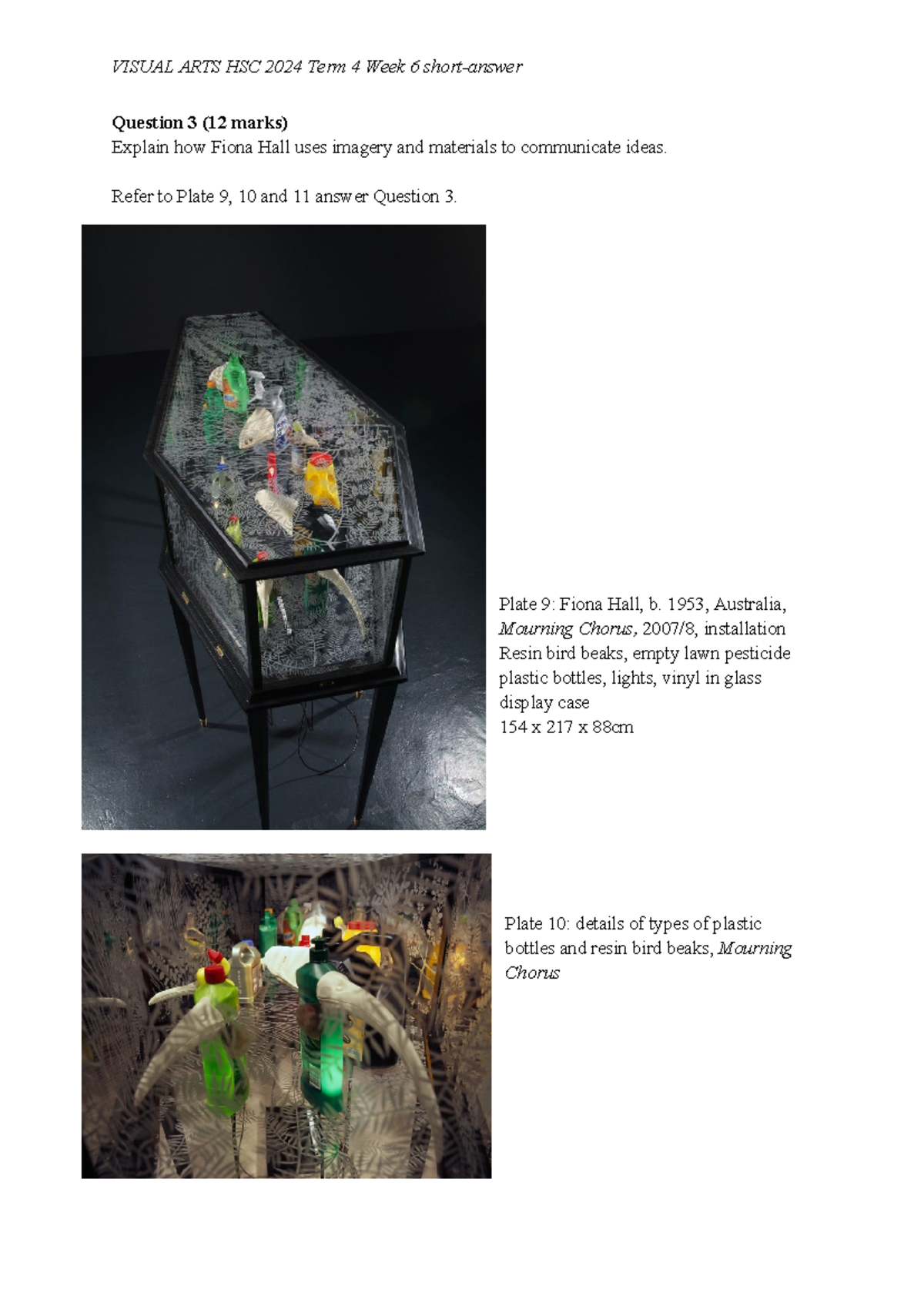 VISUAL ARTS HSC 2024 Term 4 Week 6 Q3: Fiona Hall's Imagery & Materials ...