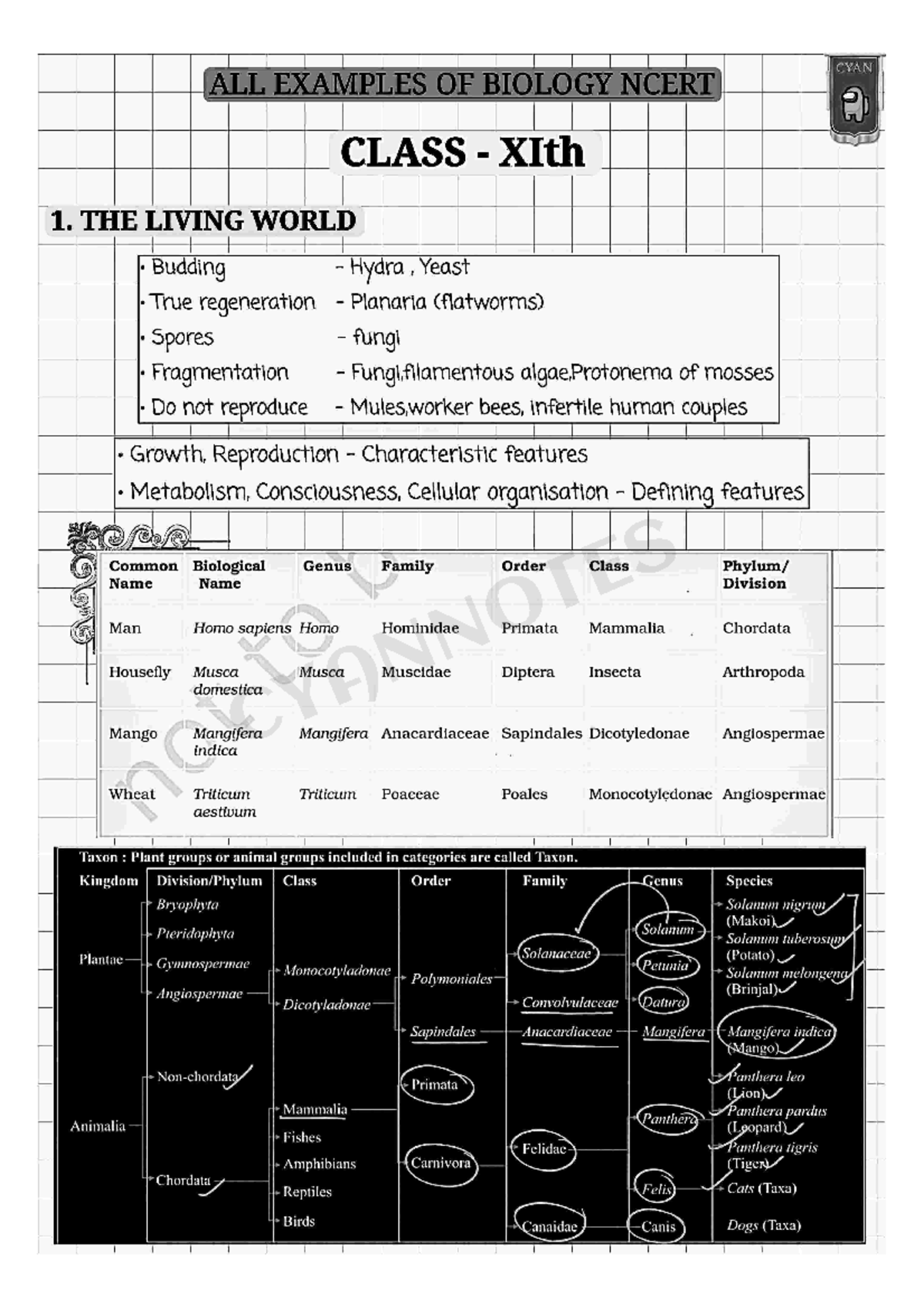 Printable Biology Ncert All Examples(CYAN) - Biology SL - Studocu