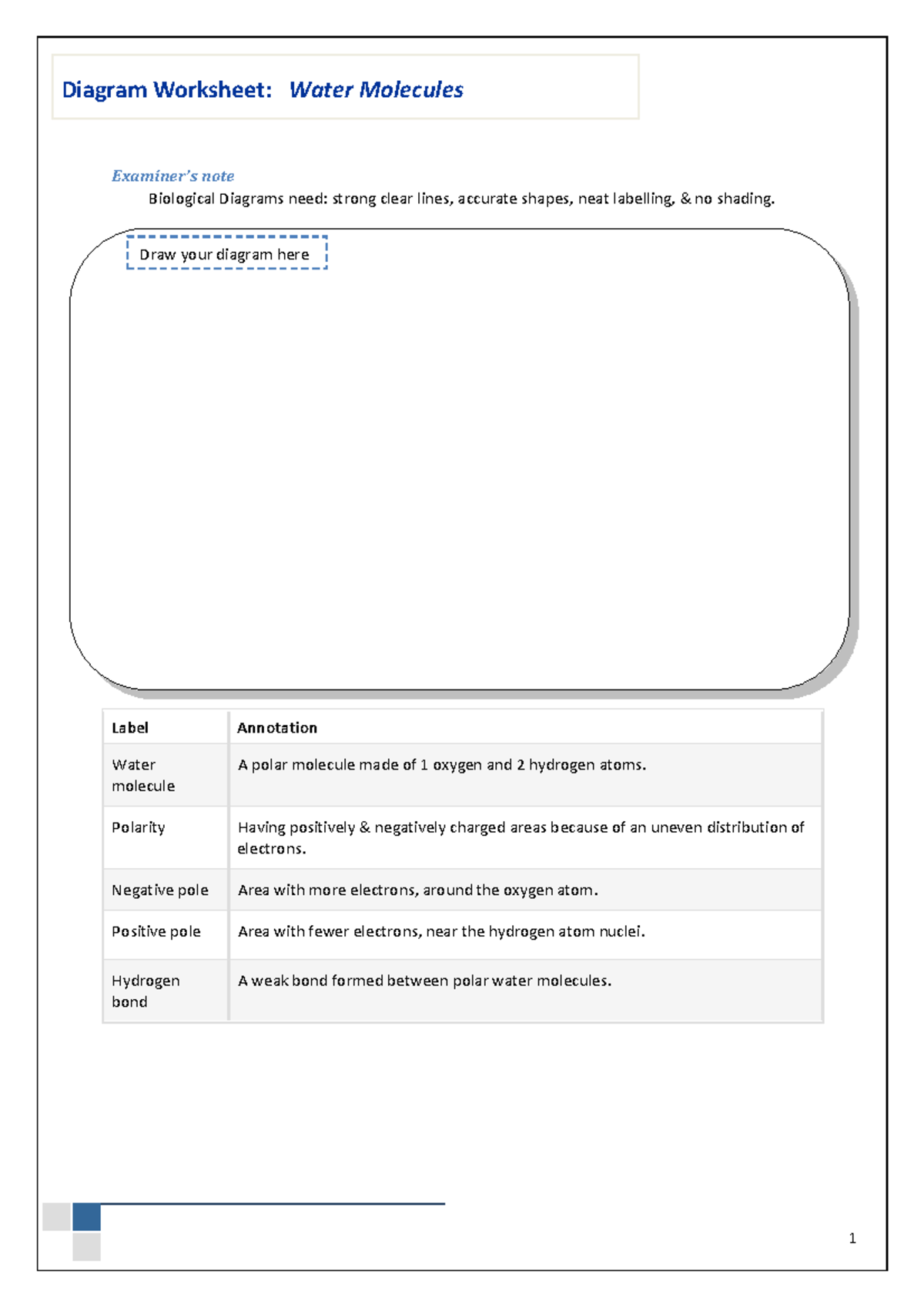 Water molecules diagram worksheet - Diagram Worksheet: Water Molecules ...