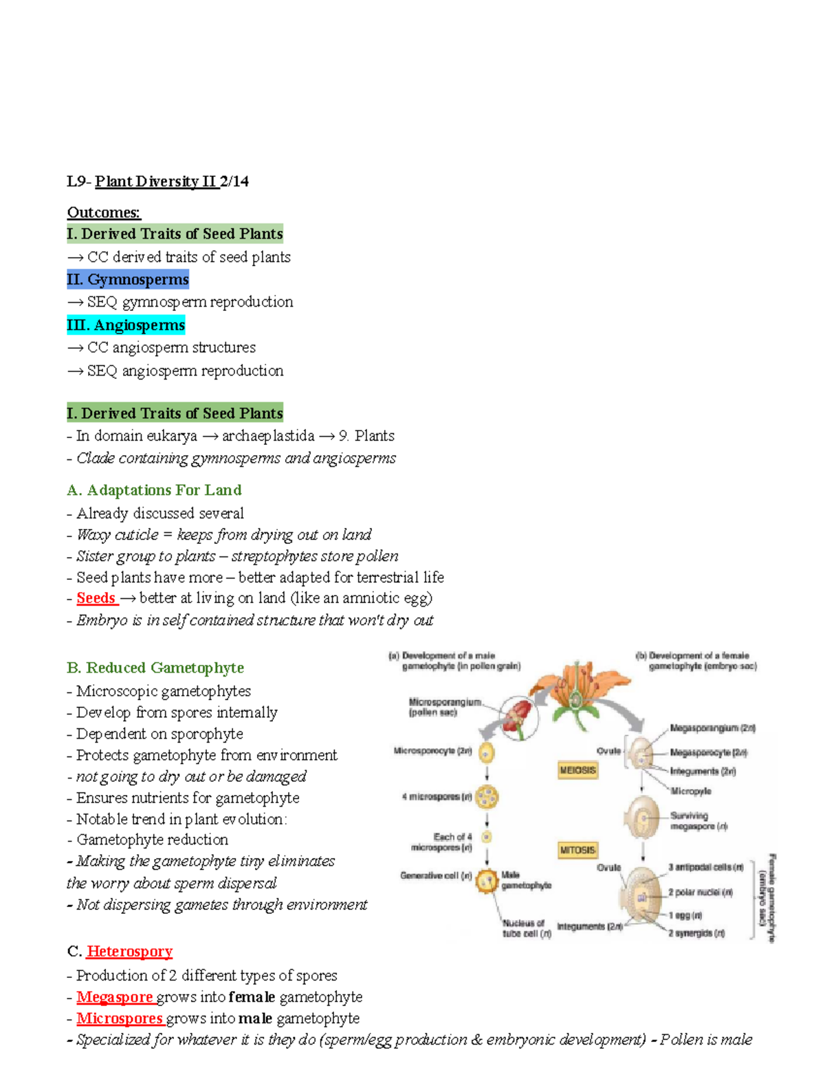 Lecture 9: Plant Diversity II - Seed & Flowering Plants - Studocu