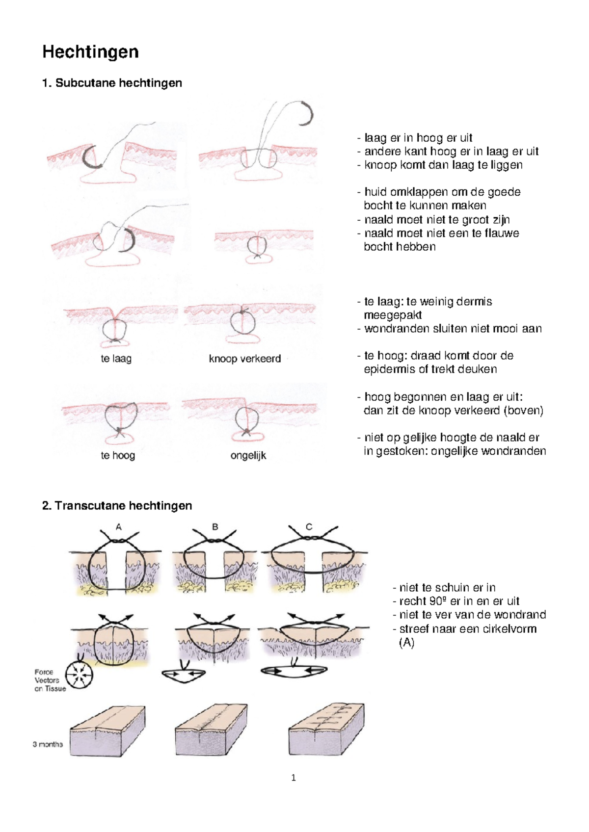 Hechtingen - Doktersassistent: Technieken en Tips voor Succes - Studeersnel